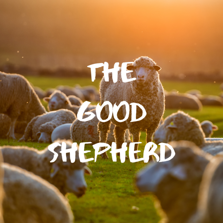 The Good Shepherd - From Sand to Stone